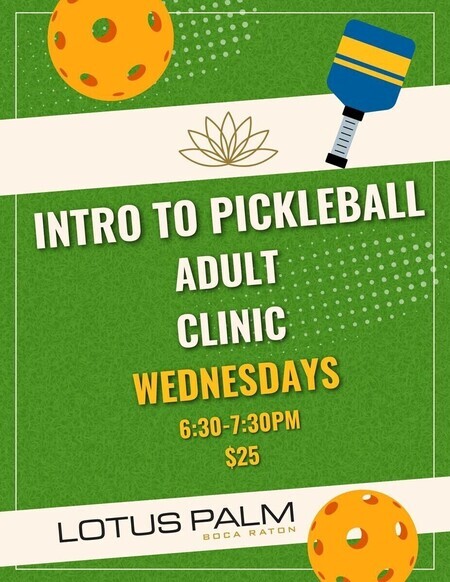 Adult pickleball - Fall 1 Adult Intro to Pickleball