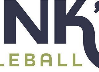 Dink'd Pickleball
