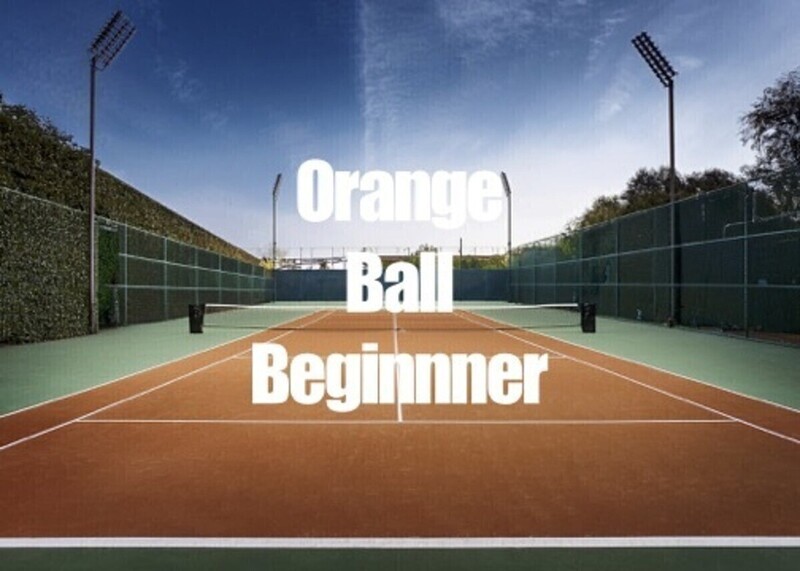 Spring youth programming - 2025 Orange Ball SPRING