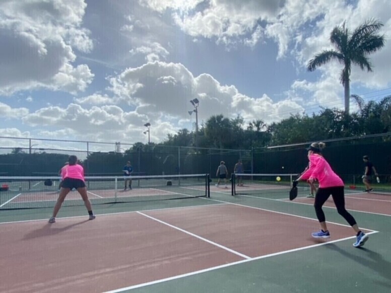 Pickleball - 2.5-3.0 Round Robin - Pickle