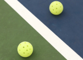The Pickleball Playground